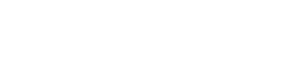 Bringing Inspiration And Innovation To Our Customers Intellergy